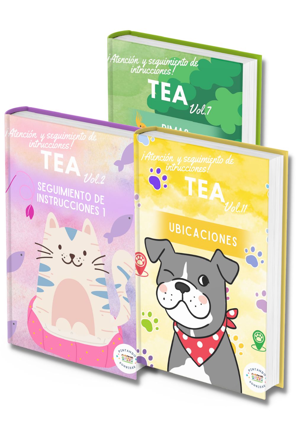 Actividades de Atención y seguimiento de instrucciones para niños con ...